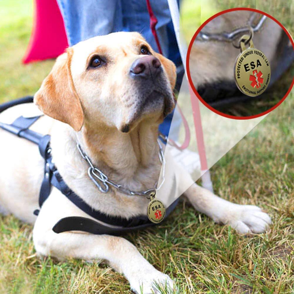 Double Sided Emotional Support Animal ESA Tag Red Medical Alert Symbol ...