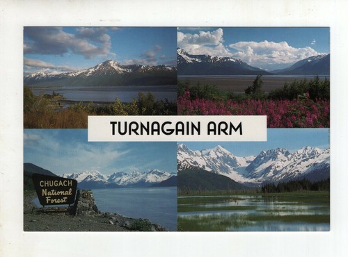Vintage Post Card - Turnagain Arm - Alaska | eBay