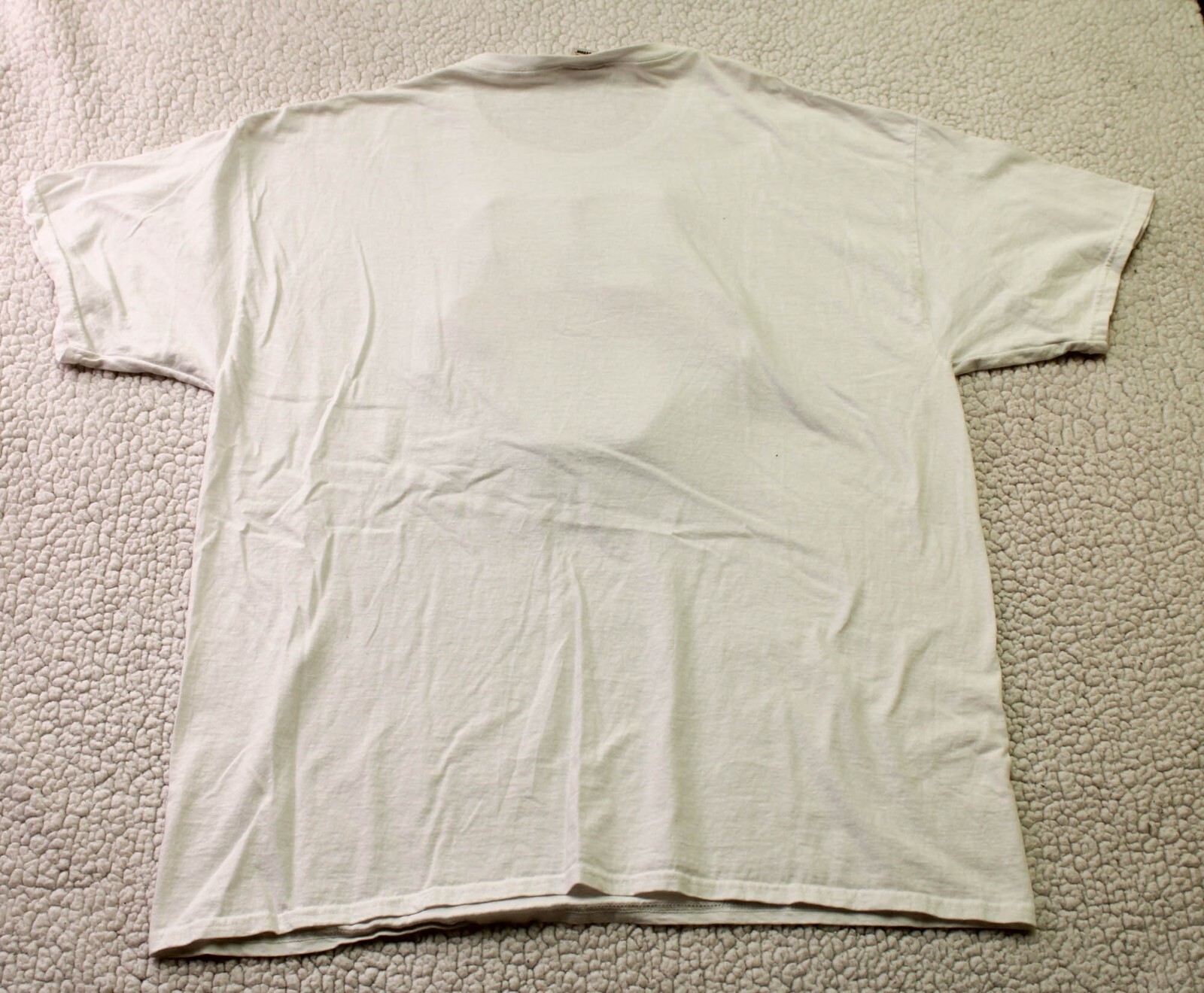 No Shirts In The Pool Embroidered Men's T-Shirt White XL Fruit of The ...