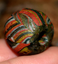 Ancient Medieval Islamic Fustat Fused Rod Morphia / Morfia Glass Bead ...