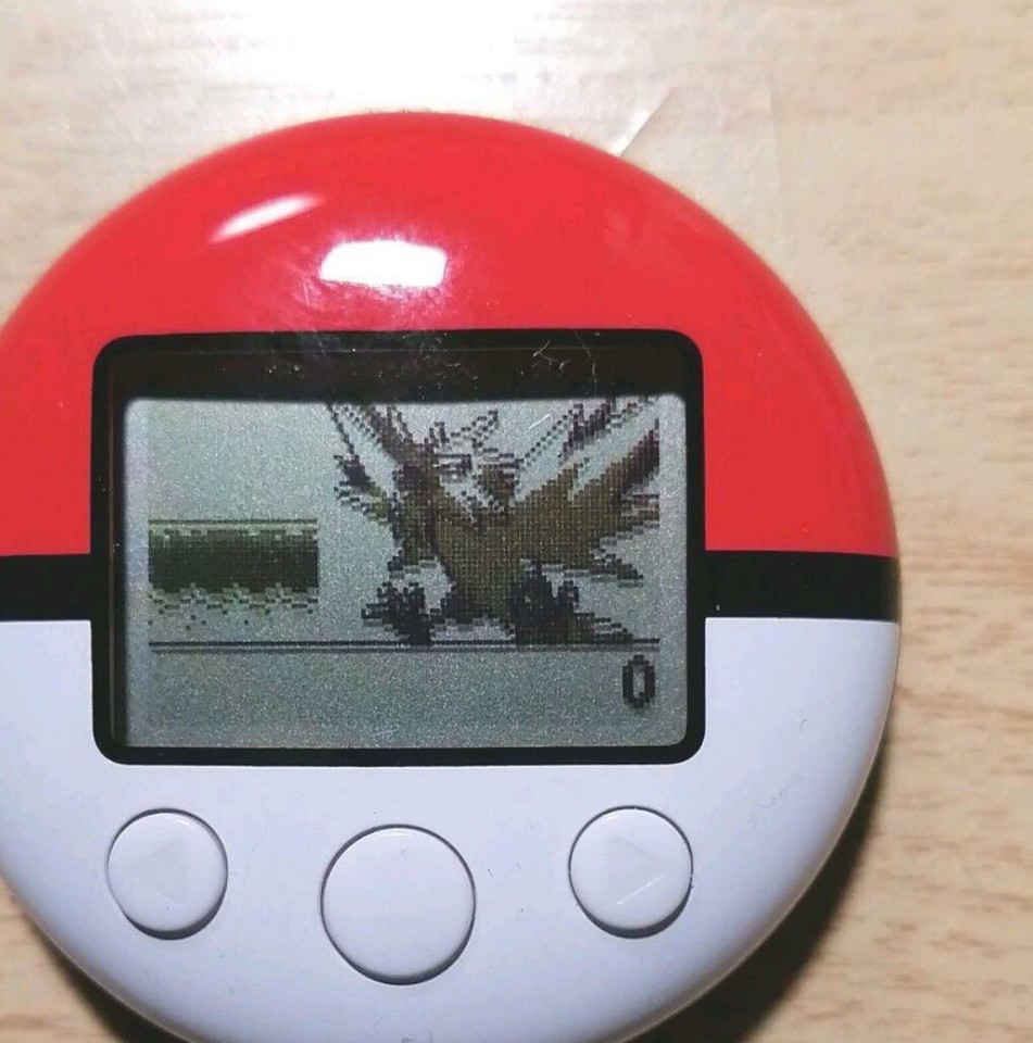 Pokemon: HeartGold Or Soul Silver Version With Pokewalker Authentic ...