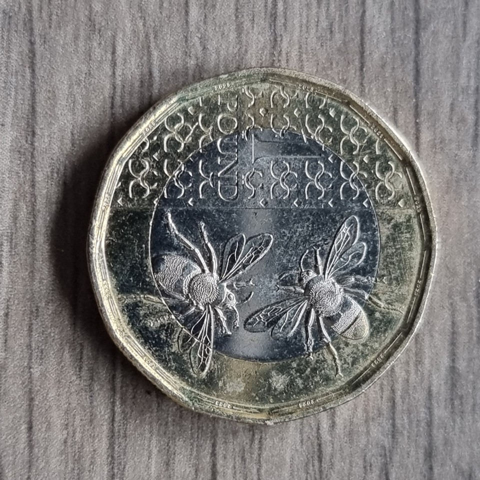 1 Pound King Charles III Bees Coin Rare Collectible 2023 | eBay UK