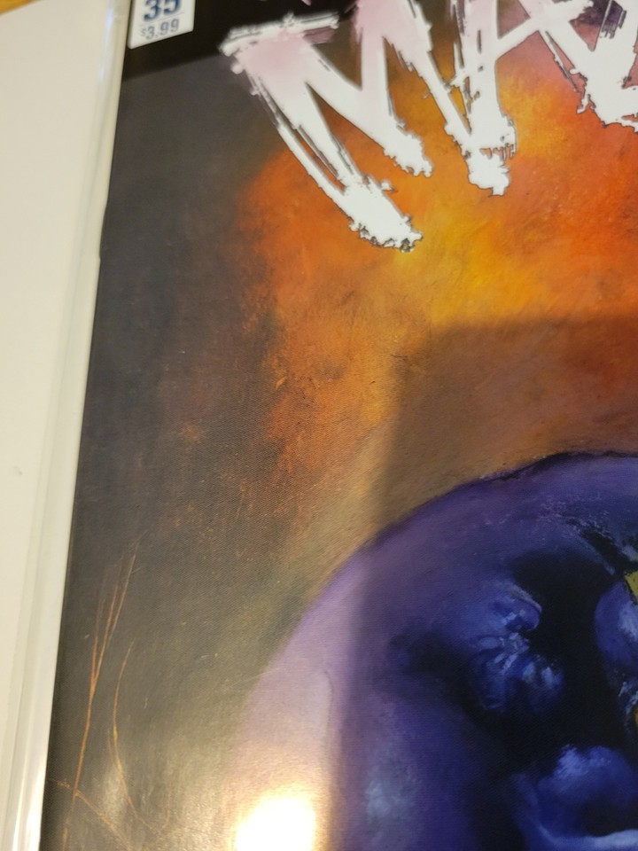 The Maxx Maxximized #35 Cover A IDW Sam Kieth Comic | eBay UK