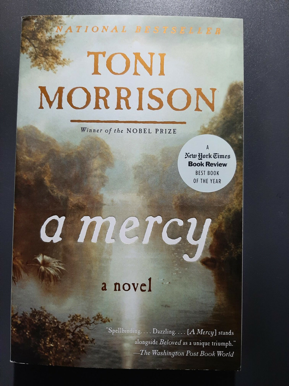 Vintage International Ser.: A Mercy by Toni Morrison (2009, Trade Paperback) for sale online | eBay