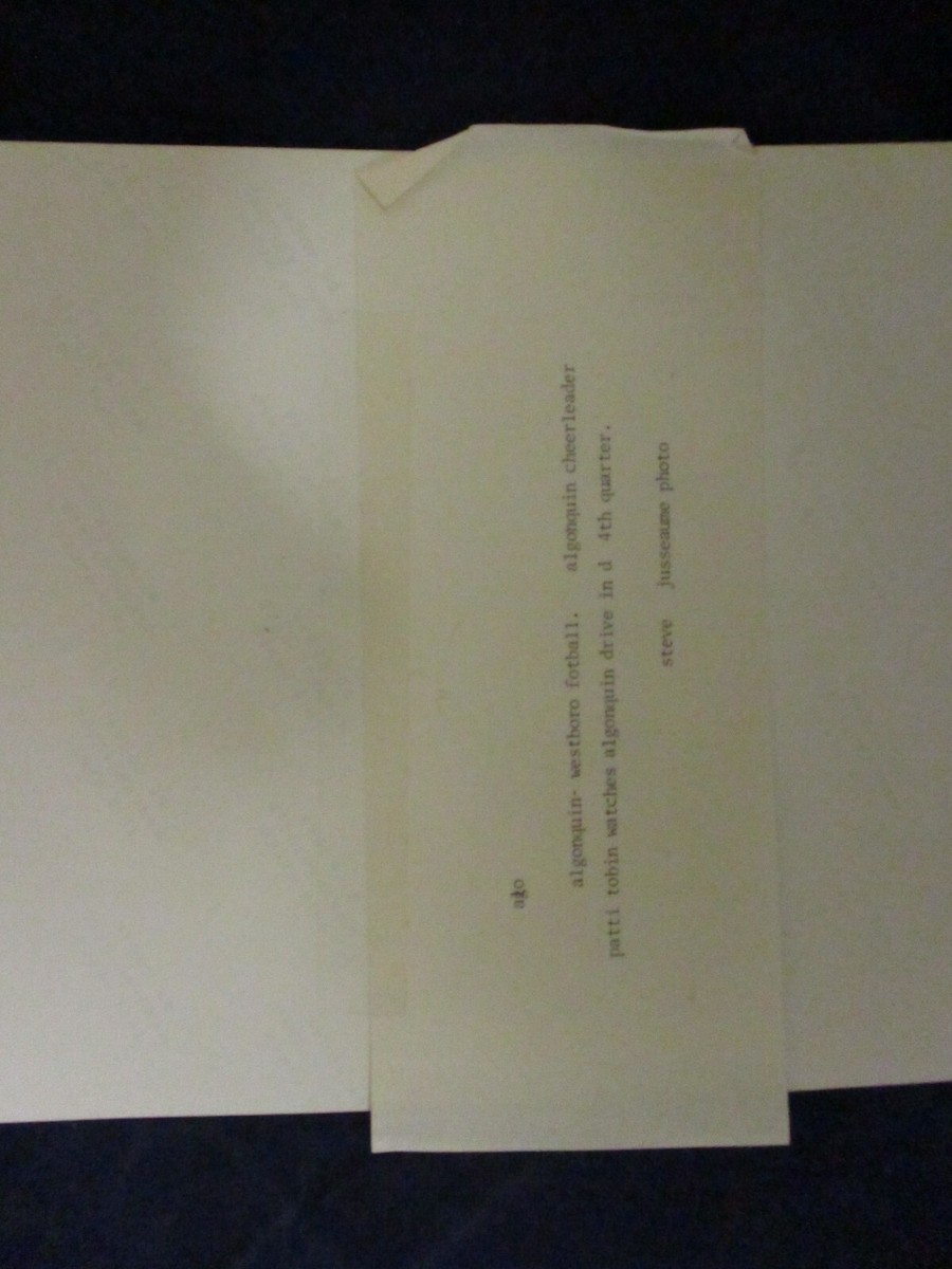 Patti Tobin's Instagram, Twitter & Facebook on IDCrawl