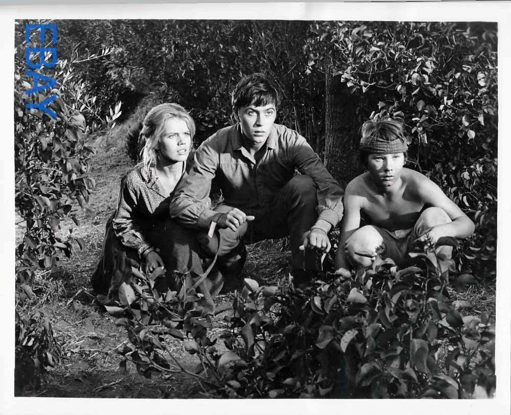 Tommy Kirk Savage Sam