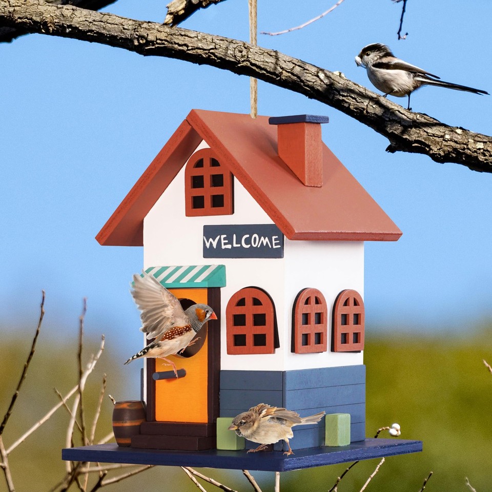 Spring Melody Bluebird House, Polywood Material Nesting Box, Hanging ...