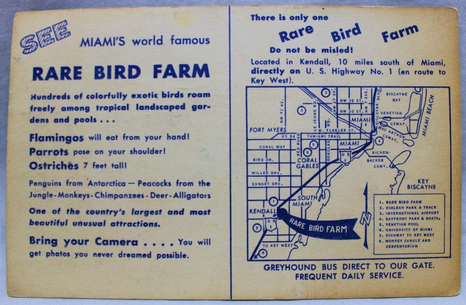 RARE BIRD FARM MIAMI FLORIDA SOUVENIR POSTCARD 1930S VINTAGE | eBay