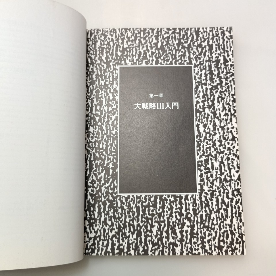 656 HandGrStrategy HandShuki Nomata Yasuyuki Yamamo Coautore BNN ...