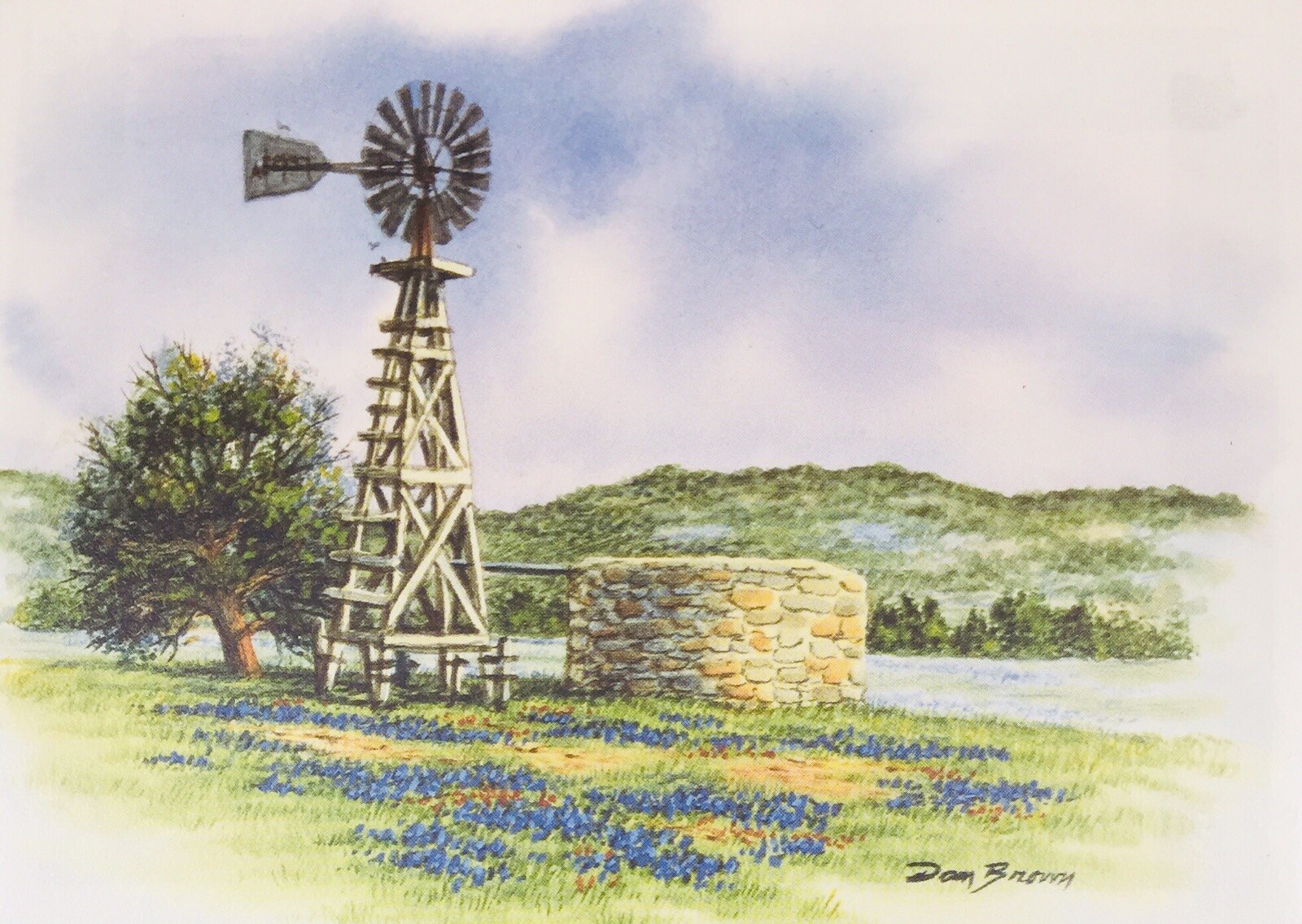 Texas Artist Dan Brown Texas Bluebonnets Windmill Cistern Matted Art ...