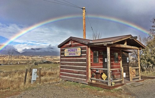 Fire Weed, Trappers Lake Flat Tops, Colorado Mountain Honey 5 Lb, Raw ...