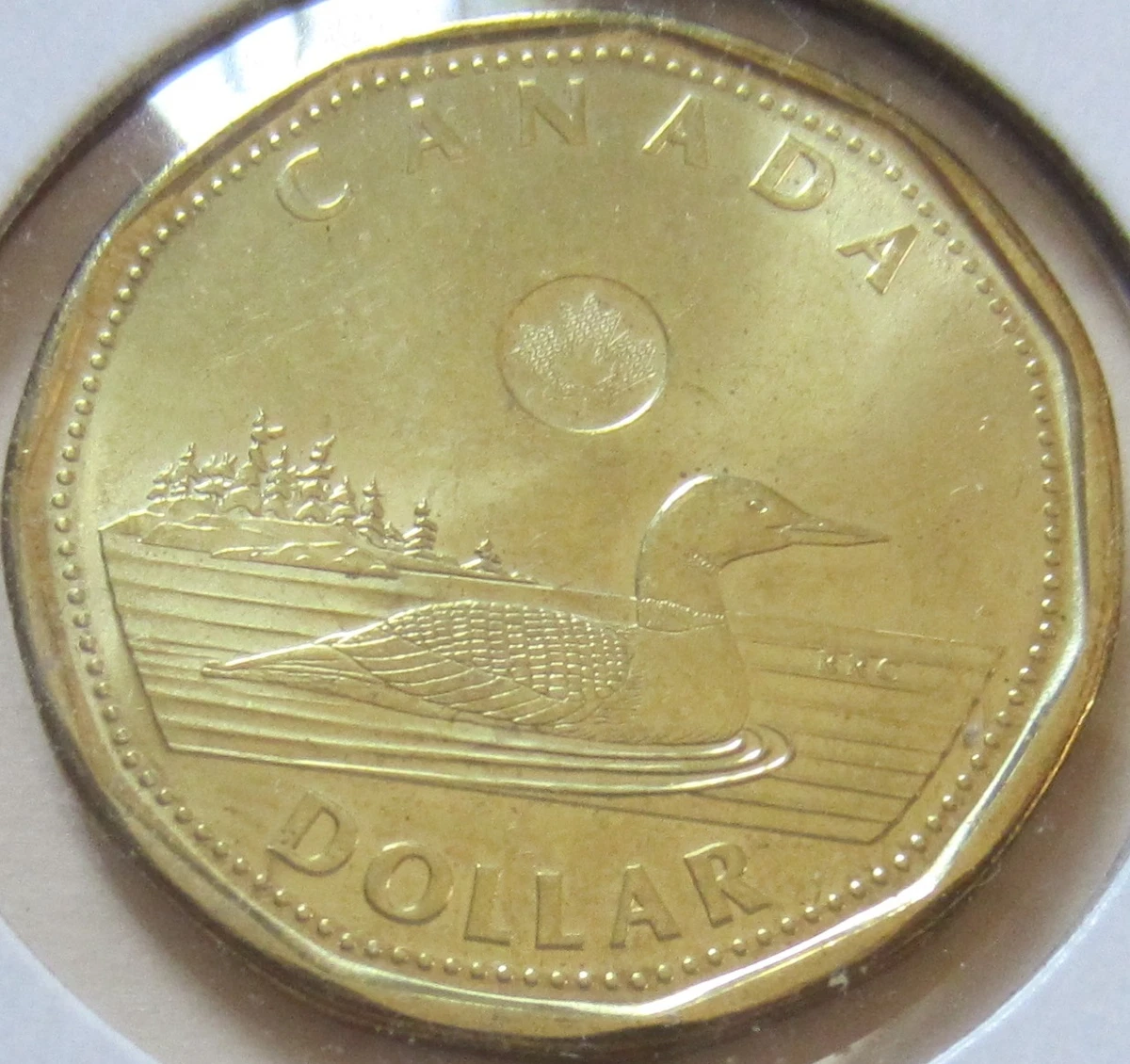 One Dollar Coin Canadian