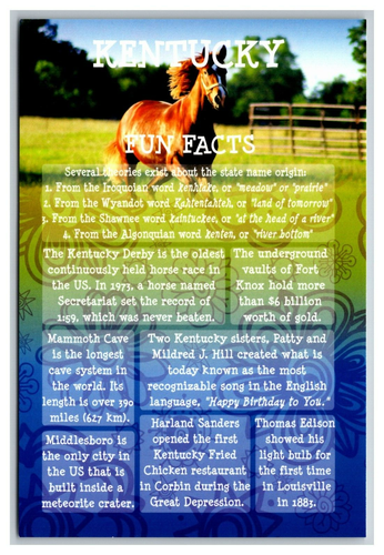 Kentucky Fun Facts Horses Large 6x4 Size Unposted Postcard | eBay