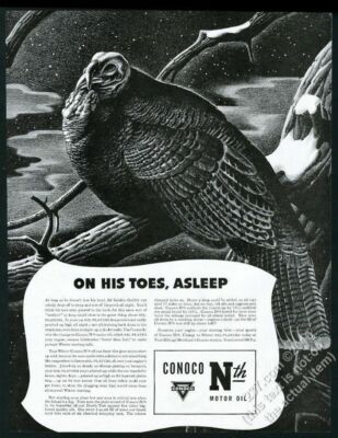 1941 wild turkey asleep on snowy branch art Conoco Motor Oil vintage ...