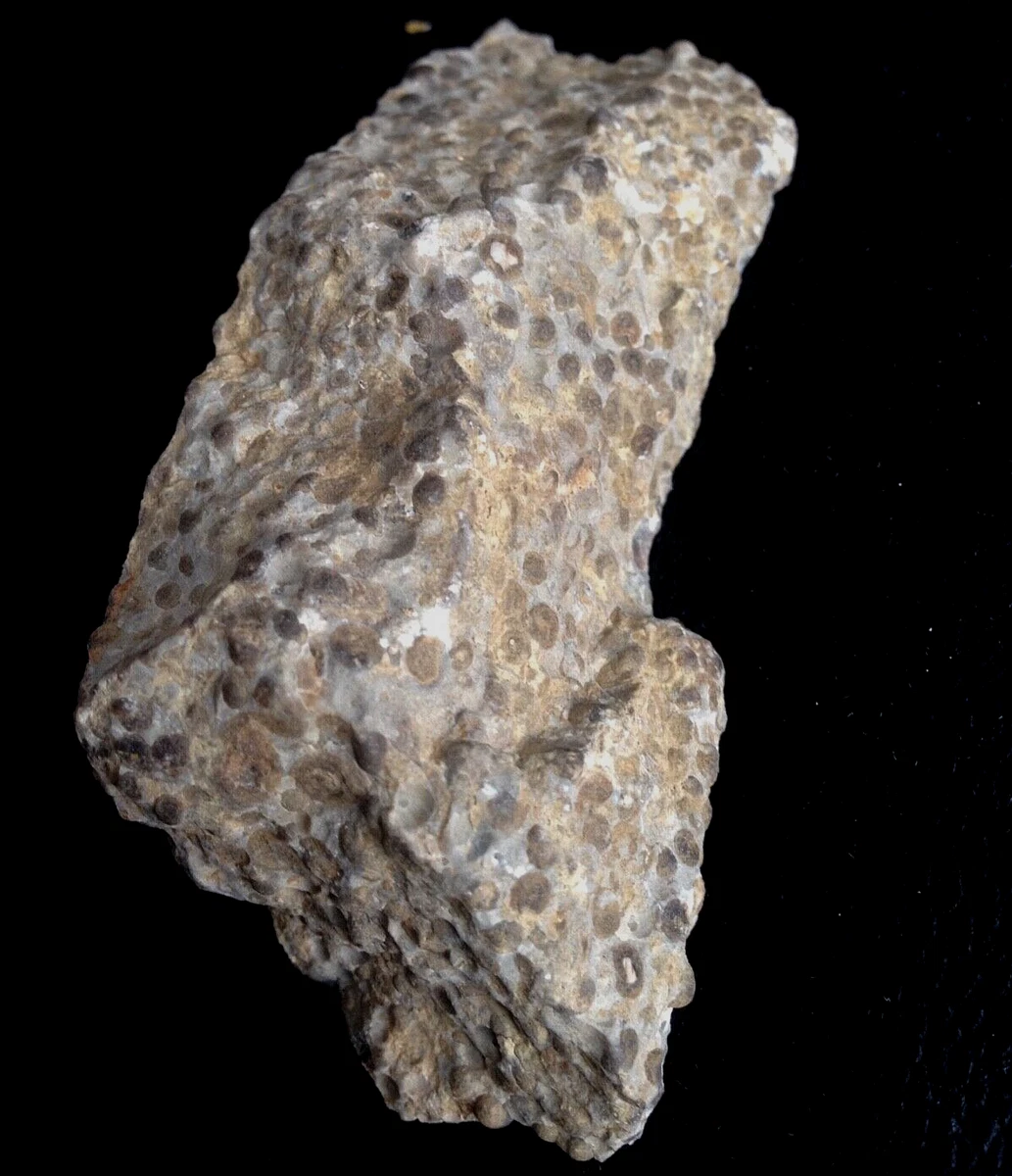 Oolite Mineral