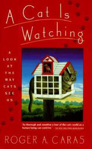 A Cat is Watching: A Look at the Way Cats See Us - Hardcover - GOOD | eBay