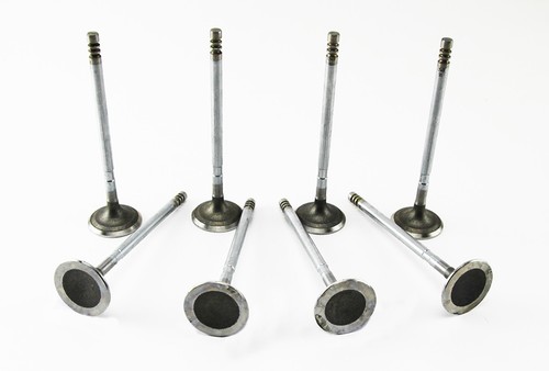 Mini 1.6 R50 / R52 / R53 Inlet Valve Full Set | eBay