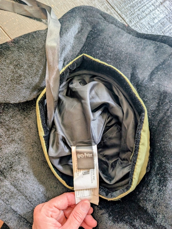 Professor McGonagall Costume Cape And Hat One Size Fits Most | eBay