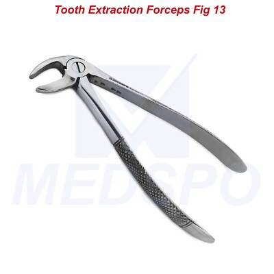 Surgical Fig13 Extraction Forceps Dental Lower Premolar Tooth Loosing ...