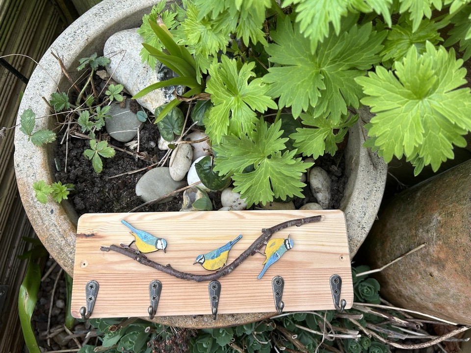 Blue tits on branch key rack. Bird themed key holder. Wall hooks for ...