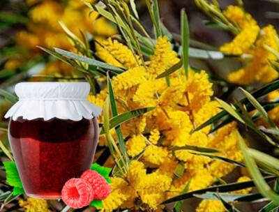 20 X NATIVE RASPBERRY JAM WATTLE SEEDS,NATIVE FLOWERS- BUSH TUCKER ...