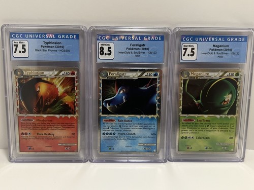 Pokemon Gen 2 Starter Bundle | eBay