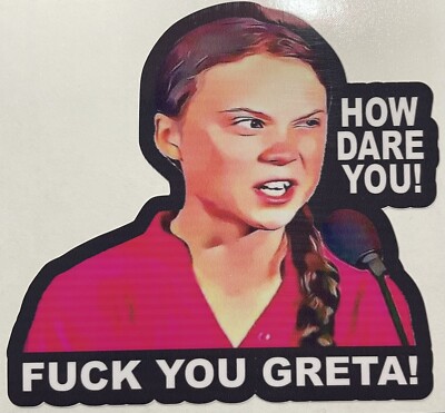 How Dare You F YOU Greta Thunberg funny meme drift jdm car sticker ...