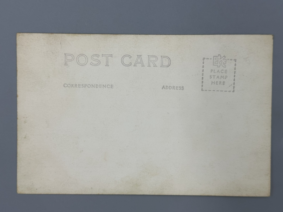 1940s COWGIRL Sally Rand BURLESQUE DANCER RODEO Appaloosa PHOTO ...