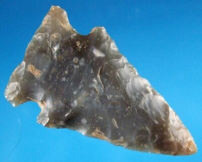 Super Fine Authentic Kentucky Shawnee Springs Pine Tree Point ...