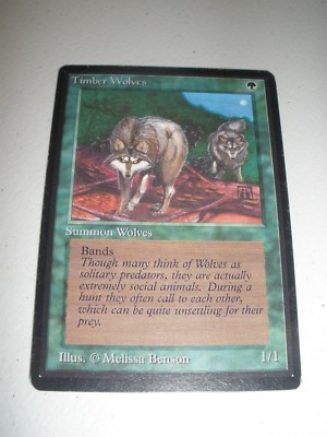 MTG Magic Timber Wolves x1 Beta EX/LP | eBay