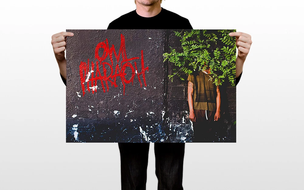Owl Pharaoh Artwork