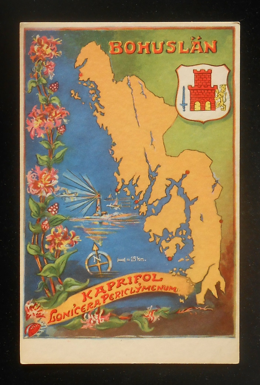 1910s? Map Bohuslan Kaprifol Götaland Bohuslän Sweden Postcard | eBay