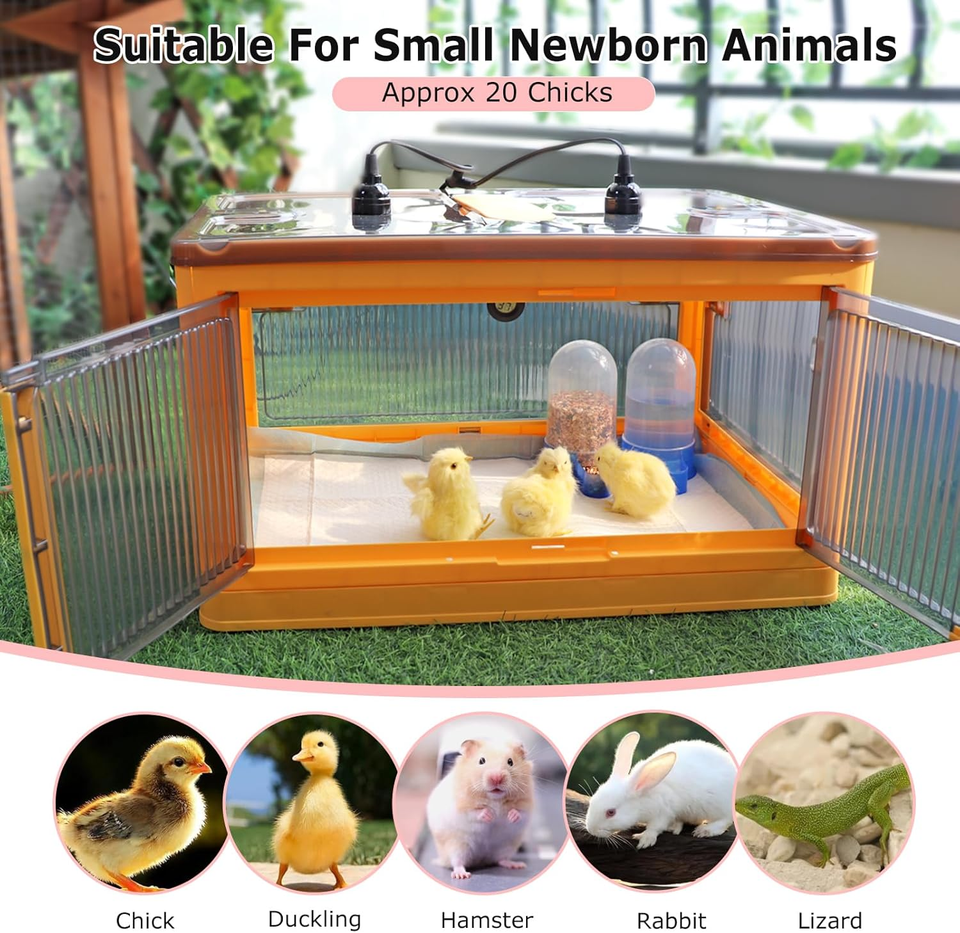 Chicken Brooder Box Kit w/ Heater Plate Thermometer for Chicks Ducks ...