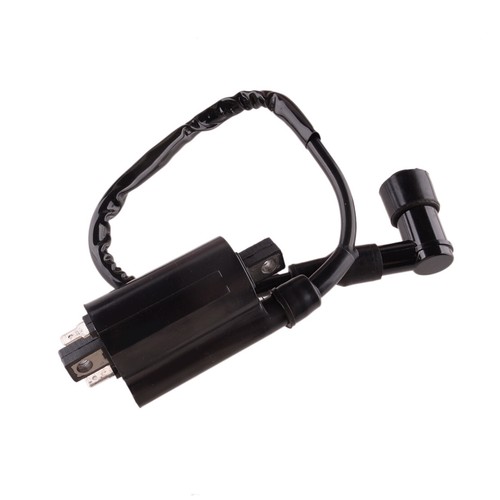 1x Ignition Coil Fit For Buyang Feishen Linhai 260 260cc 300cc D300 ATV ...