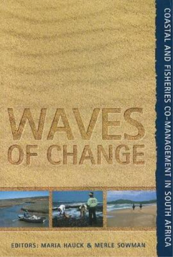 Maria Hauck Waves of change (Paperback) 9781919713809 | eBay
