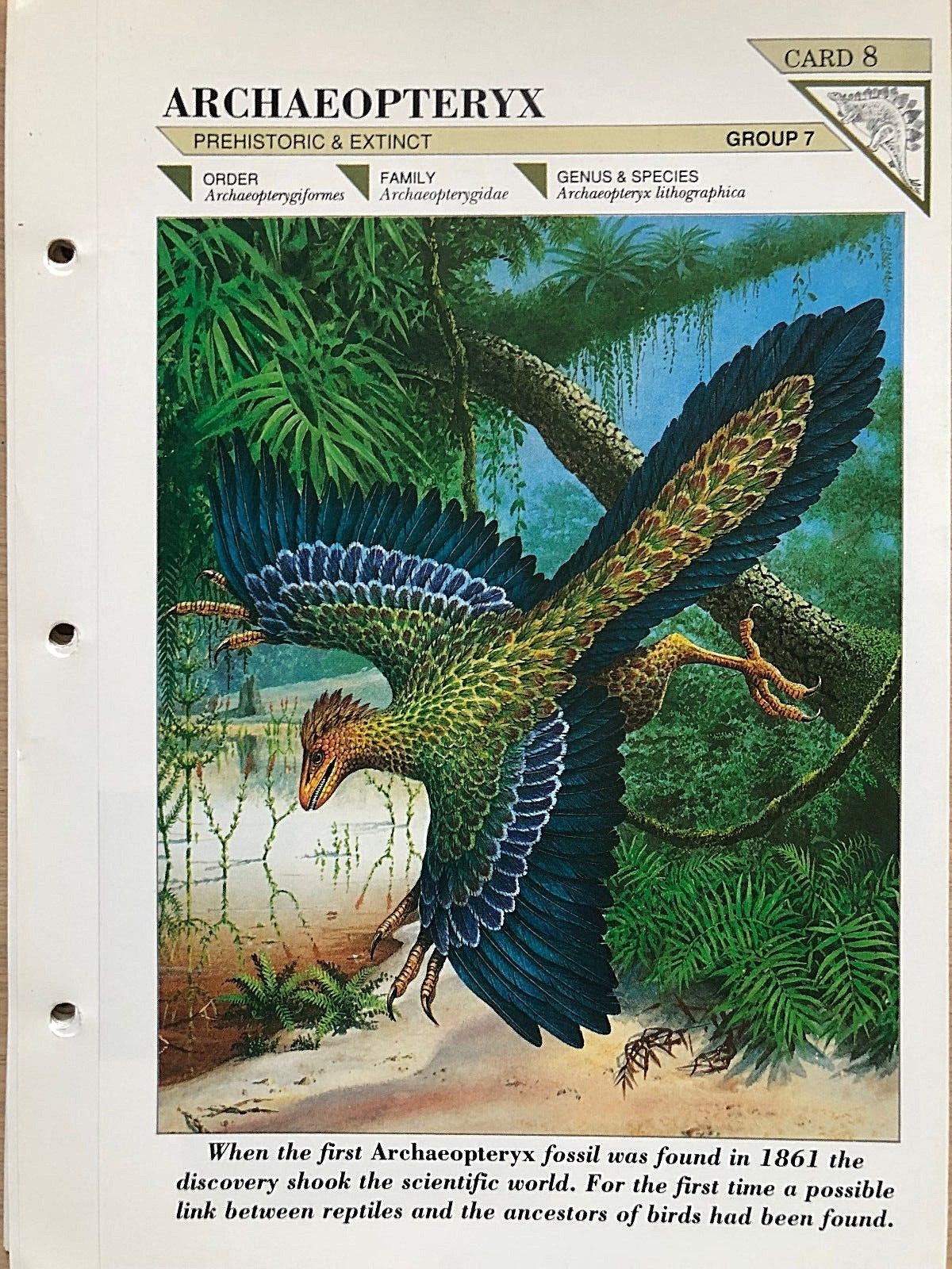 Wildlife-Fact-File-Extinct Animals-Wild Animals-School-Nature-From 1 to ...