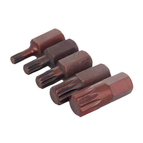 Torx Screwdriver Bits 5 Piece Set 12 Point Spline Head Screw Driver Bit ...