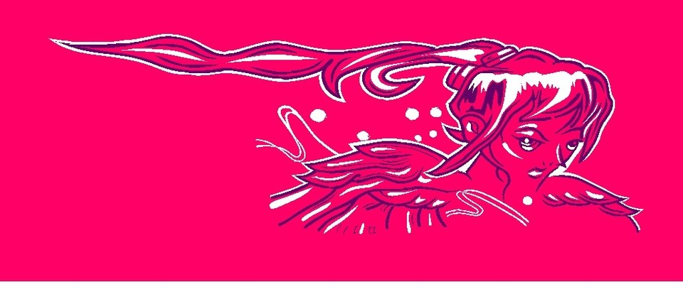 FAST AND FURIOUS SUKI'S FITS HONDA S2000 CAR VINYL DECAL SIDE HOOD FOR ...