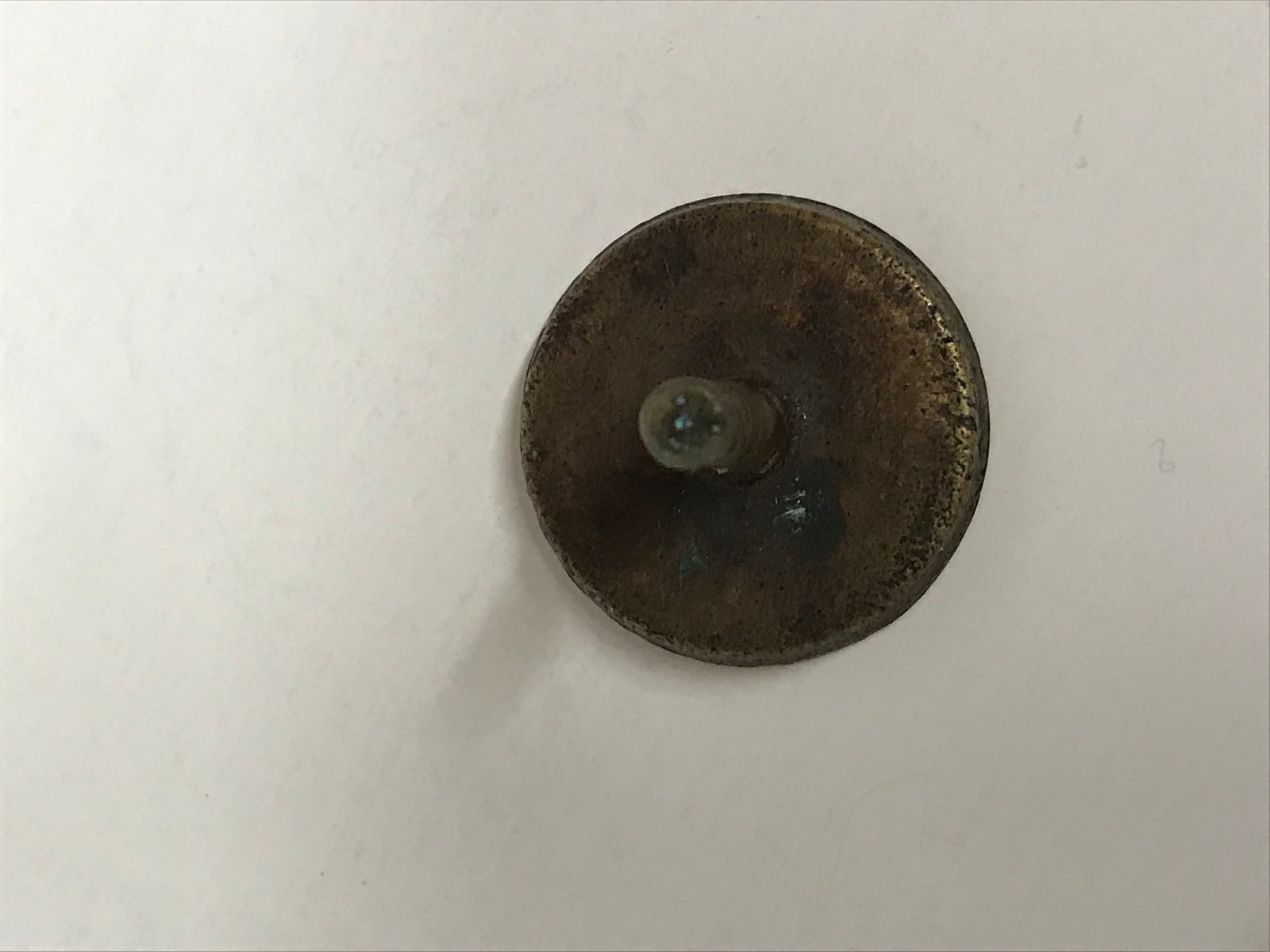 US Army military Insignia Button Warranted Superior Screwback | eBay