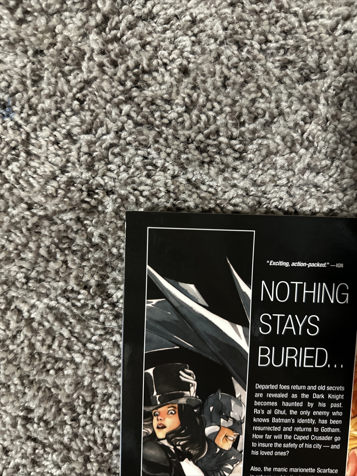 Batman%3A+Private+Casebook+%28DC+Comics%2C+2008+January+2010%29 for ...