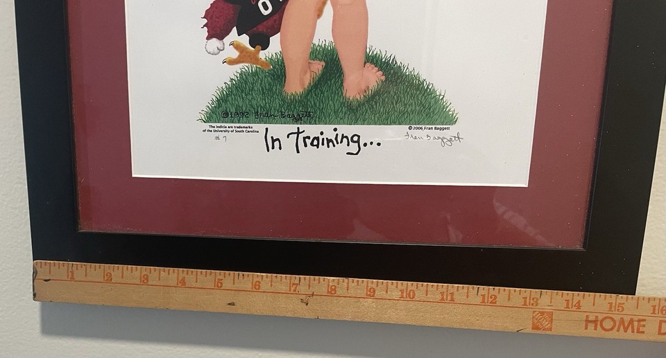 University Of South Carolina Gamecocks In Training Fran Baggett Signed ...