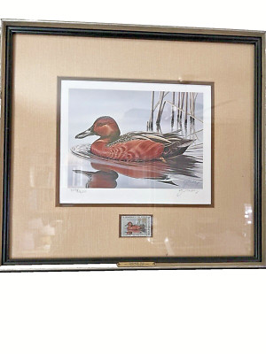 ducks unlimited federal duck stamp prints framed | eBay