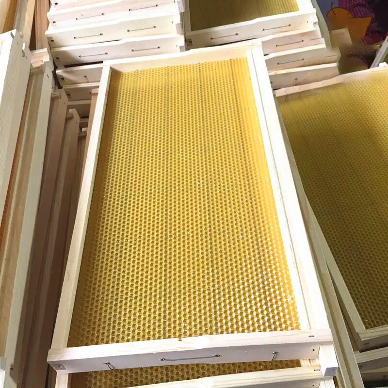 4Tier Langstroth Beehive Box Beekeeping with 20pcs Super & Brood Bee ...