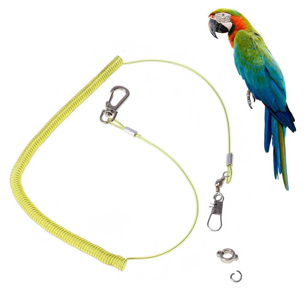 Macaw Birds For Leashes