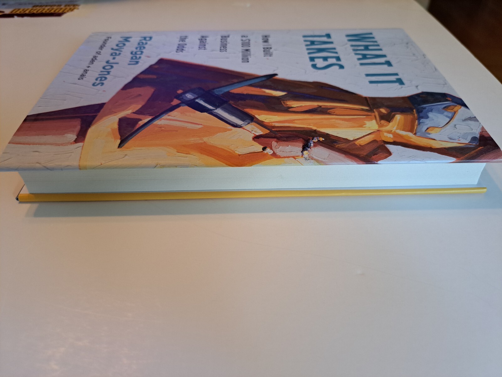 What It Takes : How I Built a $100 Million Business Against the Odds by ...