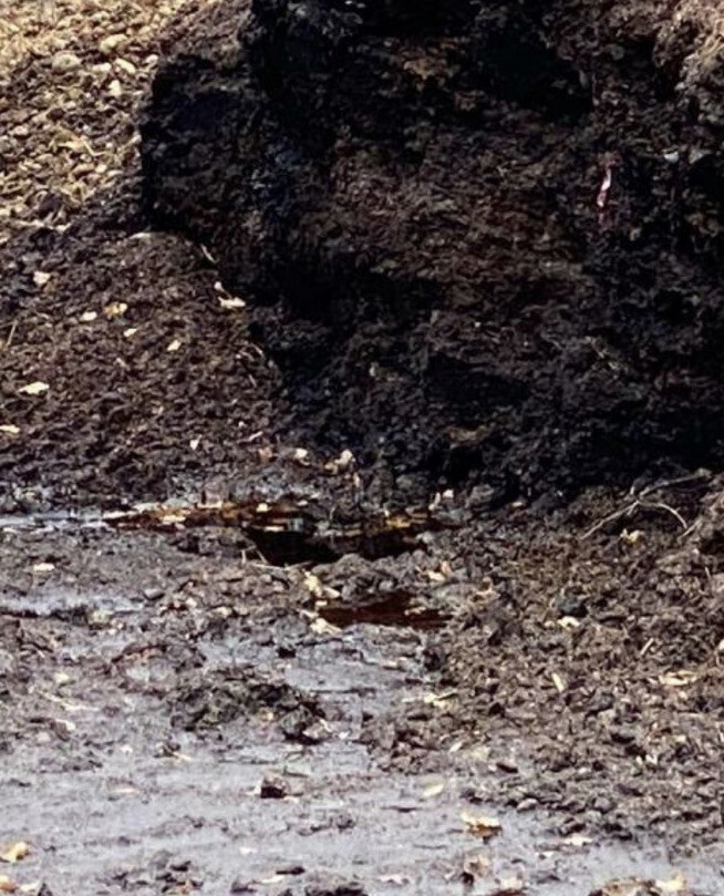 Well Rotted Horse Manure | eBay UK