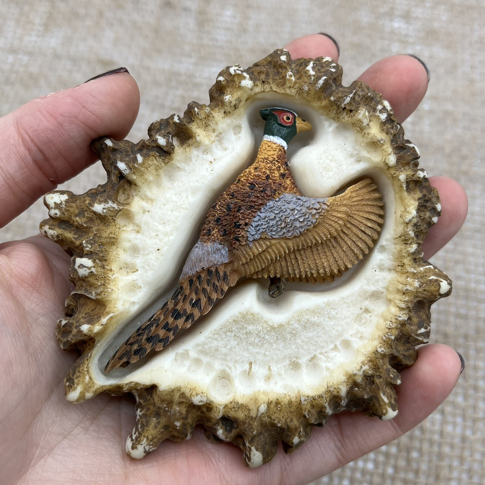 Unique Pheasant Display Pheasant Collector | eBay