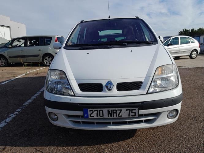 Moto ventilateur radiateur RENAULT SCENIC 1 7701070217 | eBay