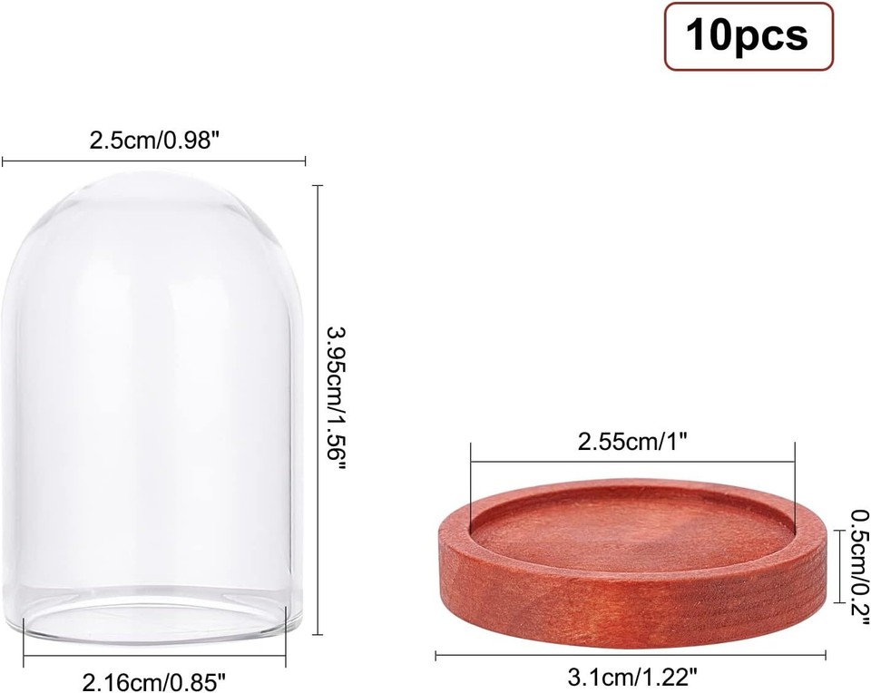 NBEADS 10 Sets Mini Eternal Flower Glass Dome Cloche, Clear Display... | eBay