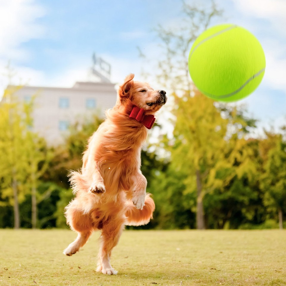 9 .5-Inch Durable Dog Football Footballs Shaking Toy Large Tennis ...